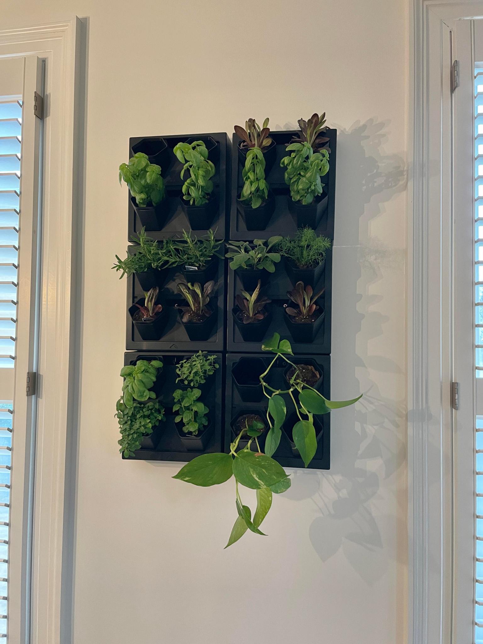 Making An Indoor Vertical Herb Garden – Petite Glimmers