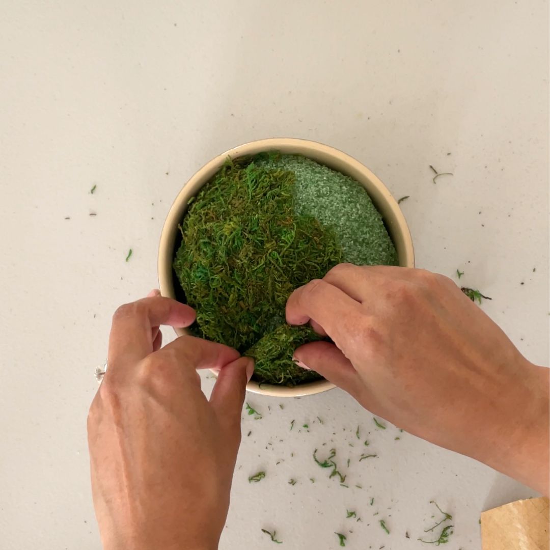 DIY Moss Bowl Centerpiece – Petite Glimmers