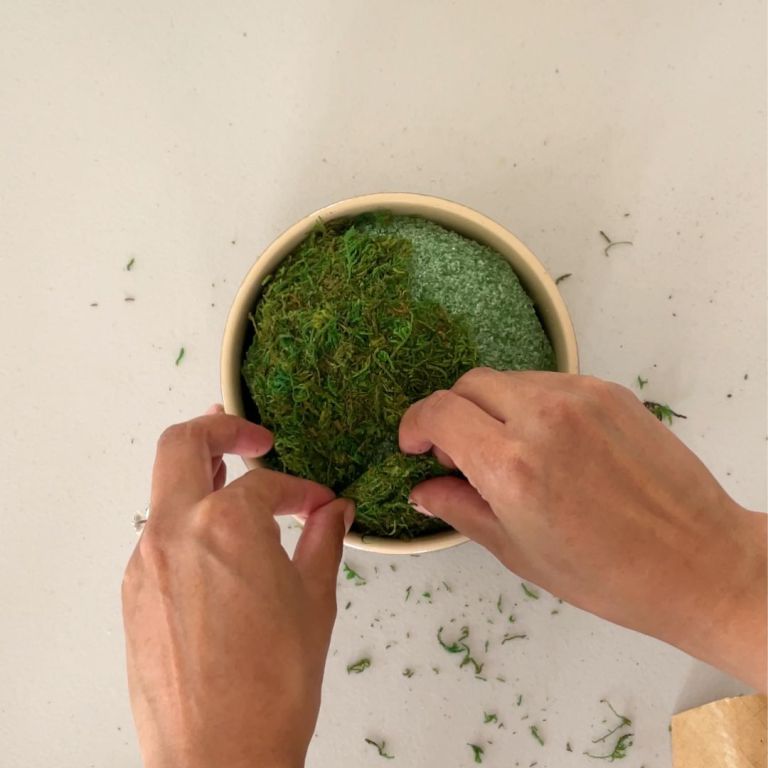 DIY Moss Bowl Centerpiece – Petite Glimmers