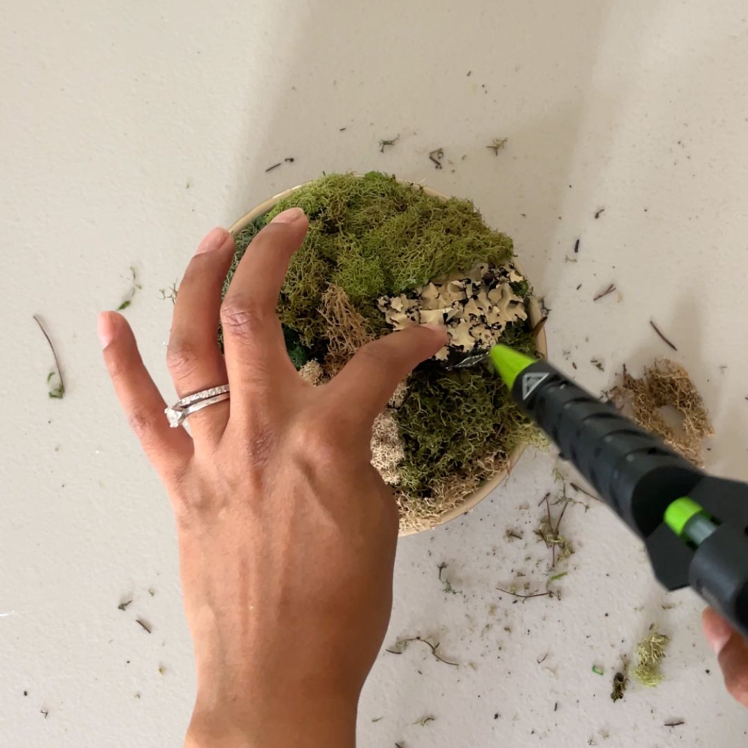 DIY Moss Bowl Centerpiece – Petite Glimmers